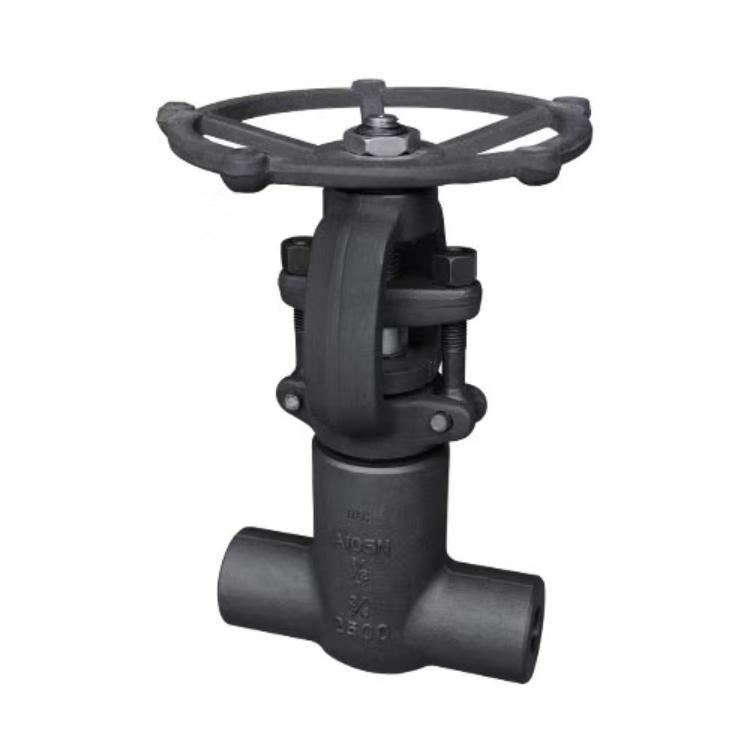 【Z61H-150LB螺纹锻钢闸阀 调节锻钢Y型闸阀 微型锻钢闸阀现货供应】 -浙江持胜阀门科技有限公司 - 卓采汇